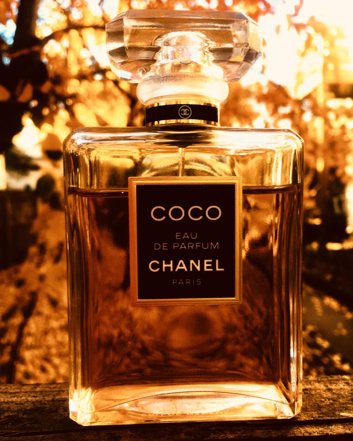 Coco Eau de Parfum Chanel fragancia - una fragancia para Mujeres 1984