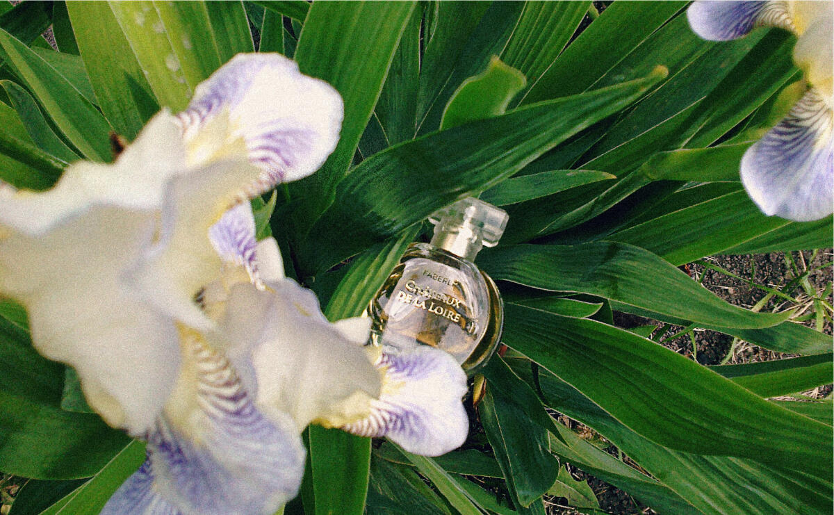 Chateaux de la Loire Faberlic parfum - een geur voor dames 2008