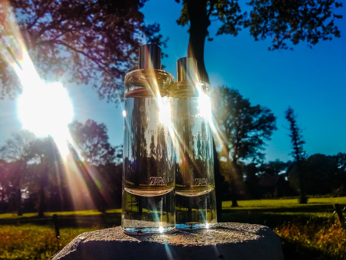 Rose Gourmand For Her Zara fragancia - una fragancia para Mujeres 2020