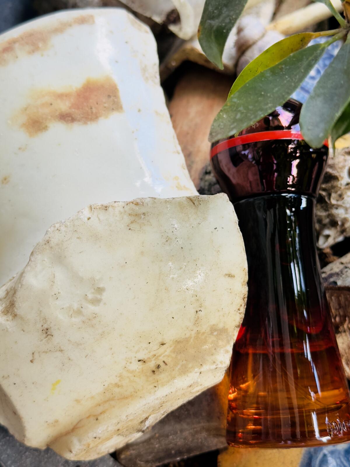 Fusion Pierre Cardin - una fragranza da uomo 2015