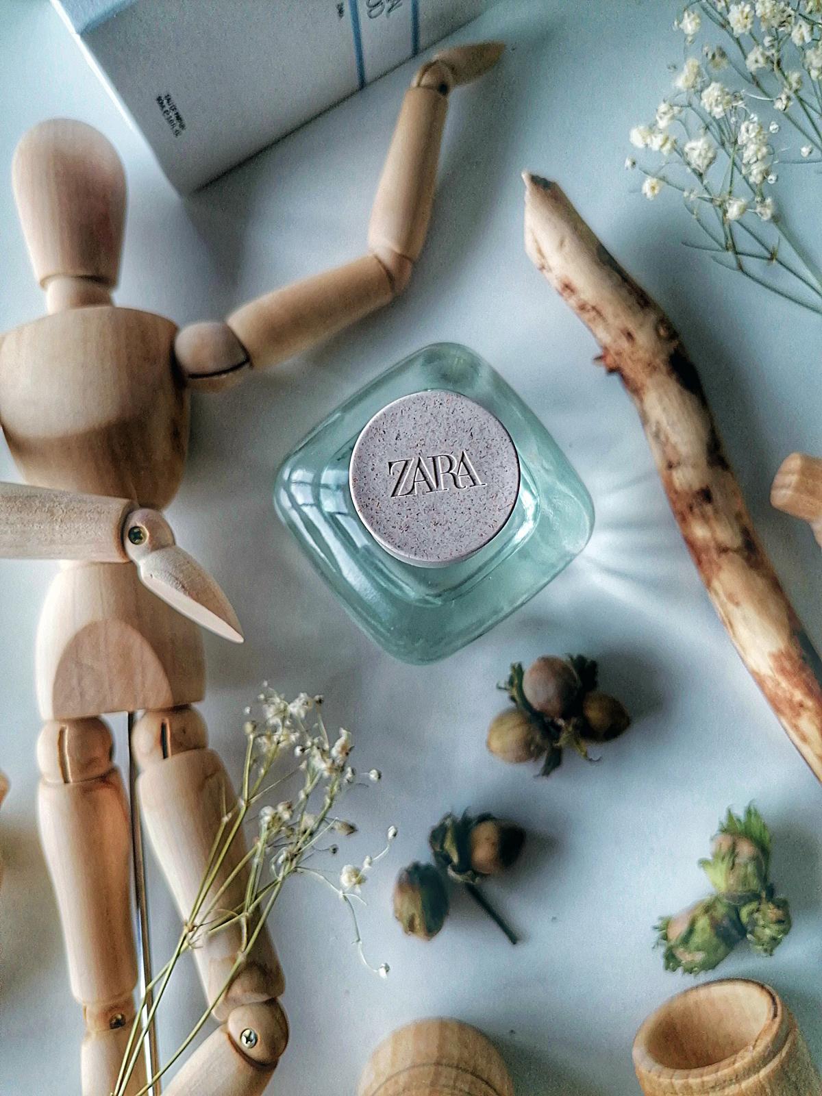 Unusual Wood Zara сүрчиг - a шинэ сүрчиг эмэгтэй 2022