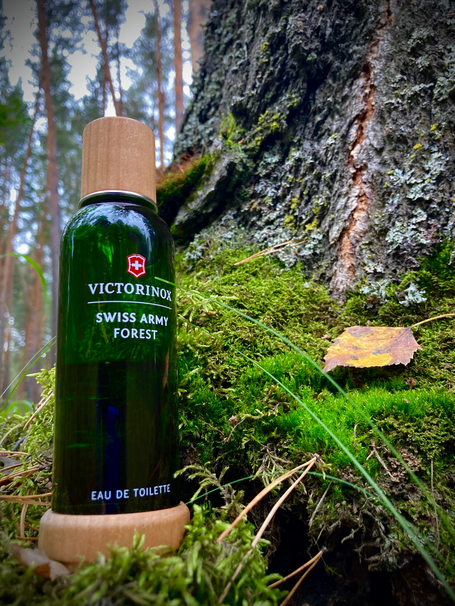 Swiss Army Forest Victorinox Swiss Army Colonia - una fragancia para ...