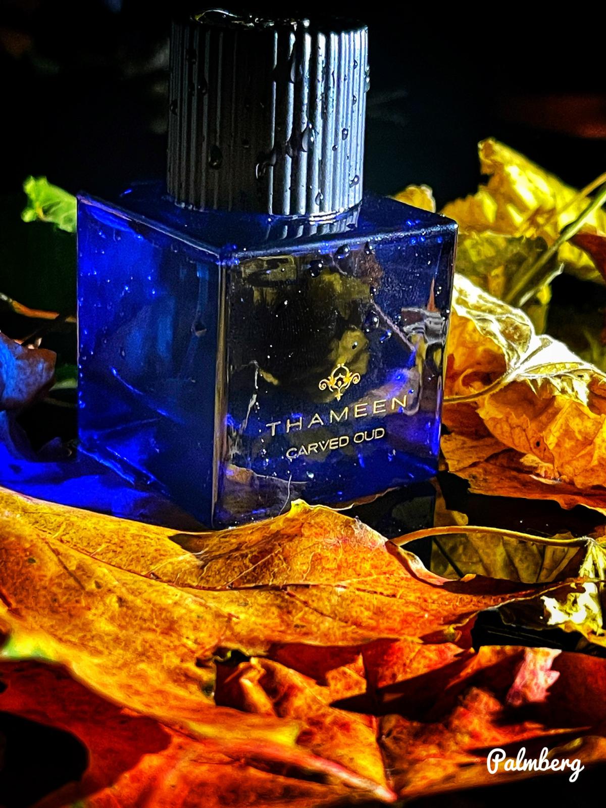 Carved Oud Thameen fragancia - una fragancia para Hombres y Mujeres 2013