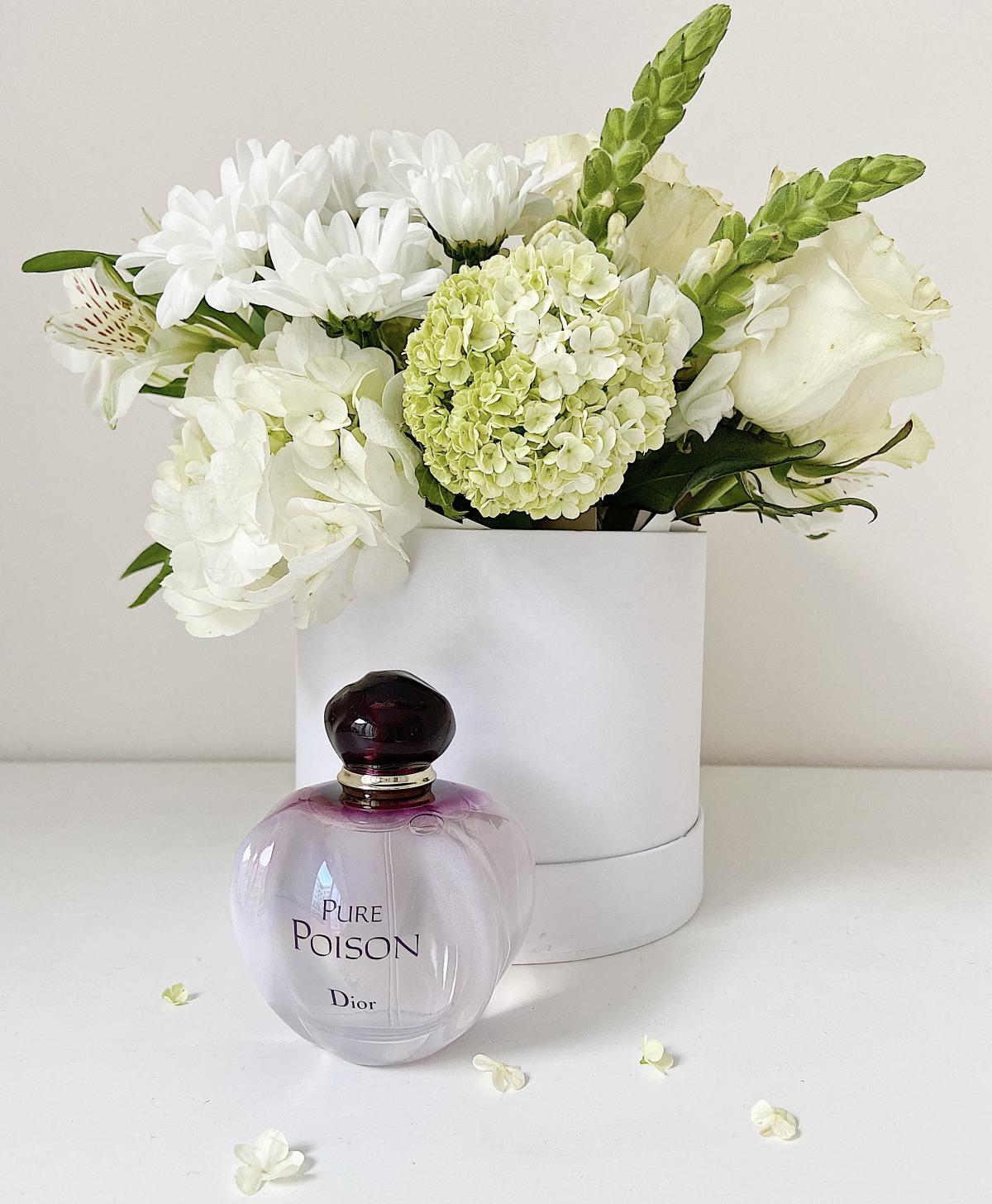 Pure Poison Dior fragancia - una fragancia para Mujeres 2004