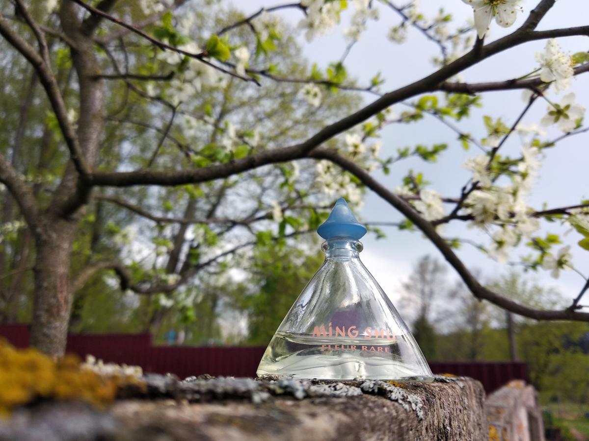 Ming Shu Fleur Rare Yves Rocher parfum - een geur voor dames 1997