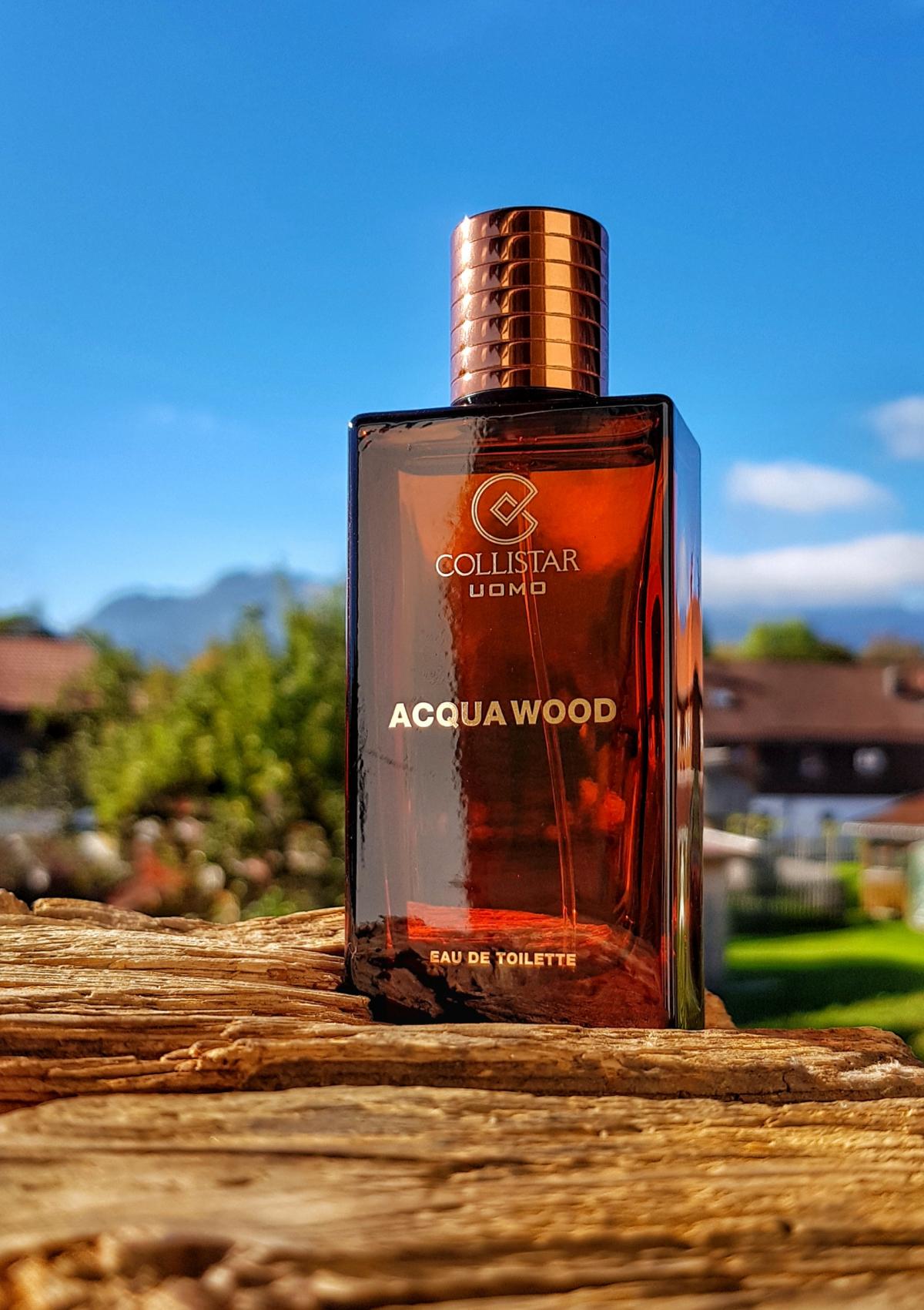 Acqua Wood Collistar Cologne - un parfum pour homme 2015