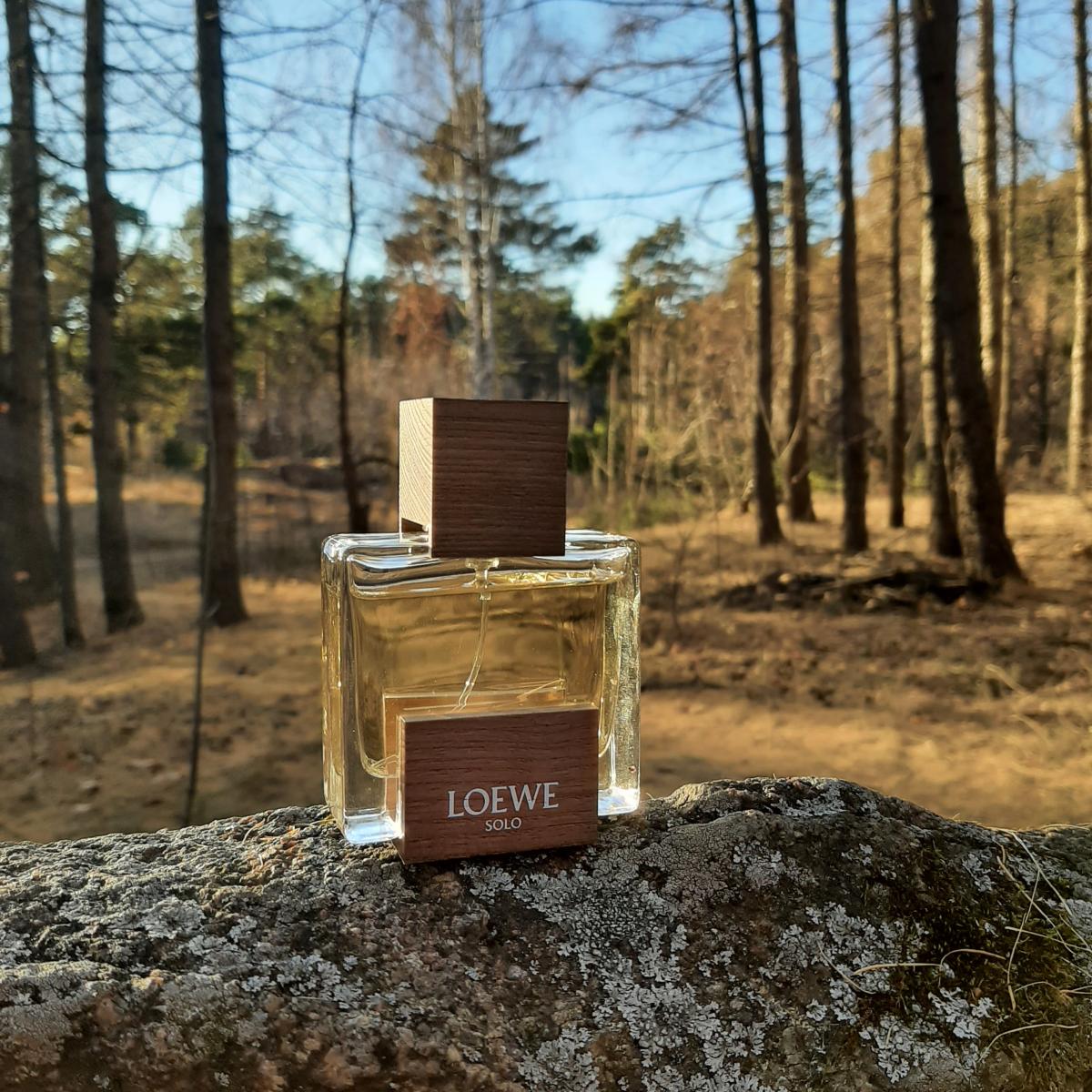 Solo Loewe Cedro Loewe Colonia - una fragancia para Hombres 2015