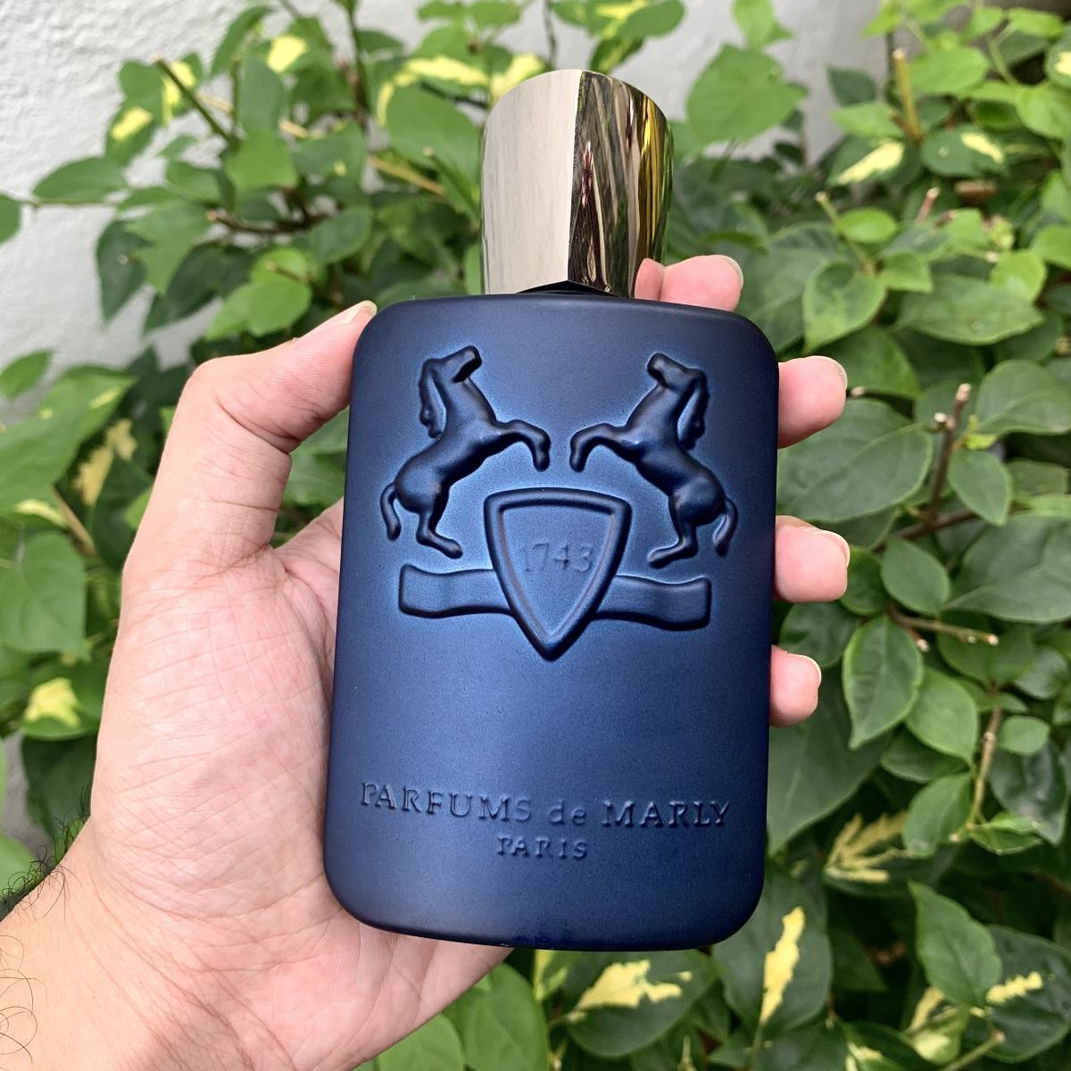 Layton Parfums de Marly - una fragranza unisex 2016