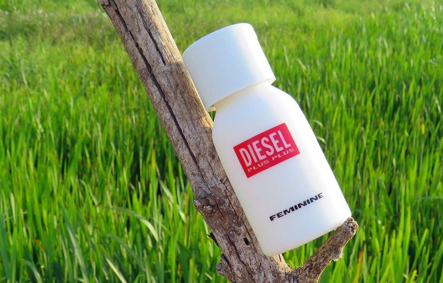 Plus Plus Feminine Diesel fragancia - una fragancia para Mujeres 1997
