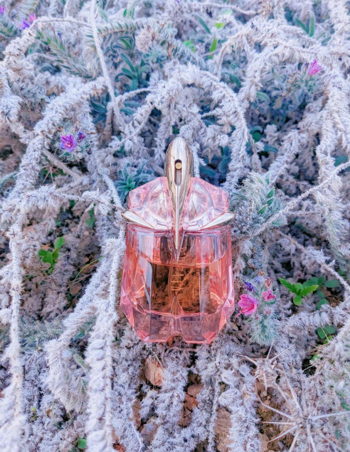 Alien Flora Futura Mugler аромат — аромат для женщин 2018