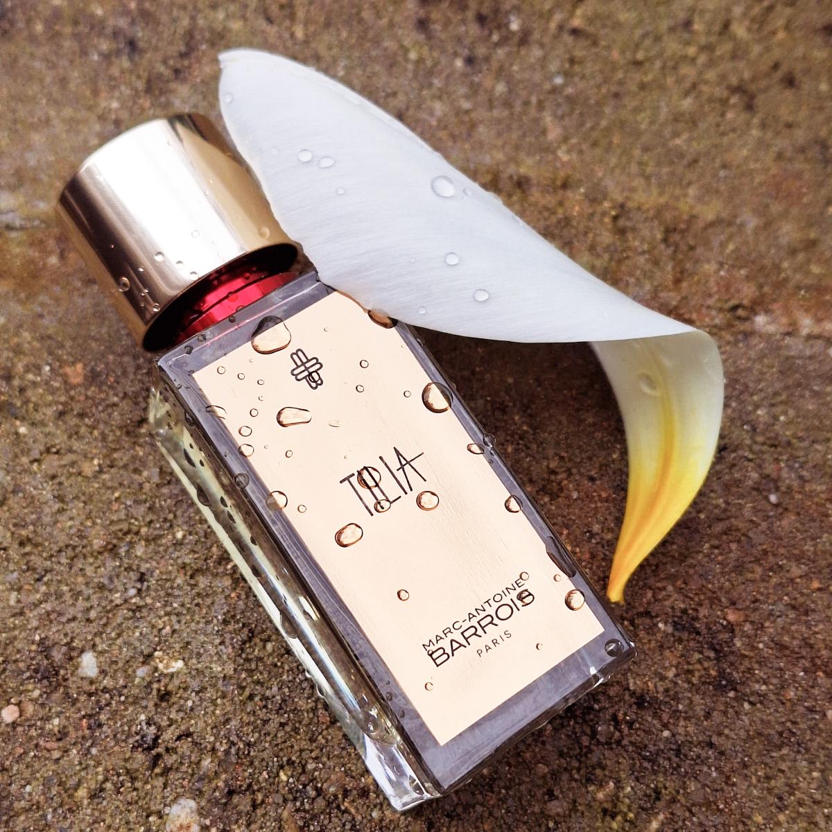 Tilia Marc-Antoine Barrois parfum - un nouveau parfum pour homme et ...