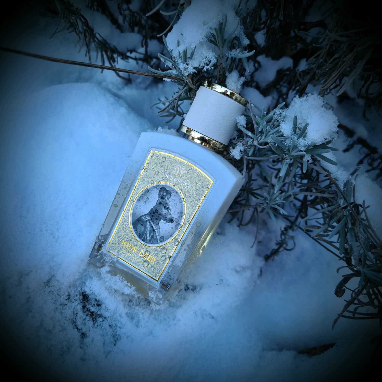 Musk Deer Zoologist Perfumes parfum - un parfum pour homme et femme 2020