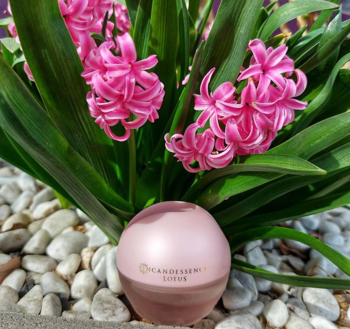 Incandessence Lotus Avon parfem - parfem za žene 2019