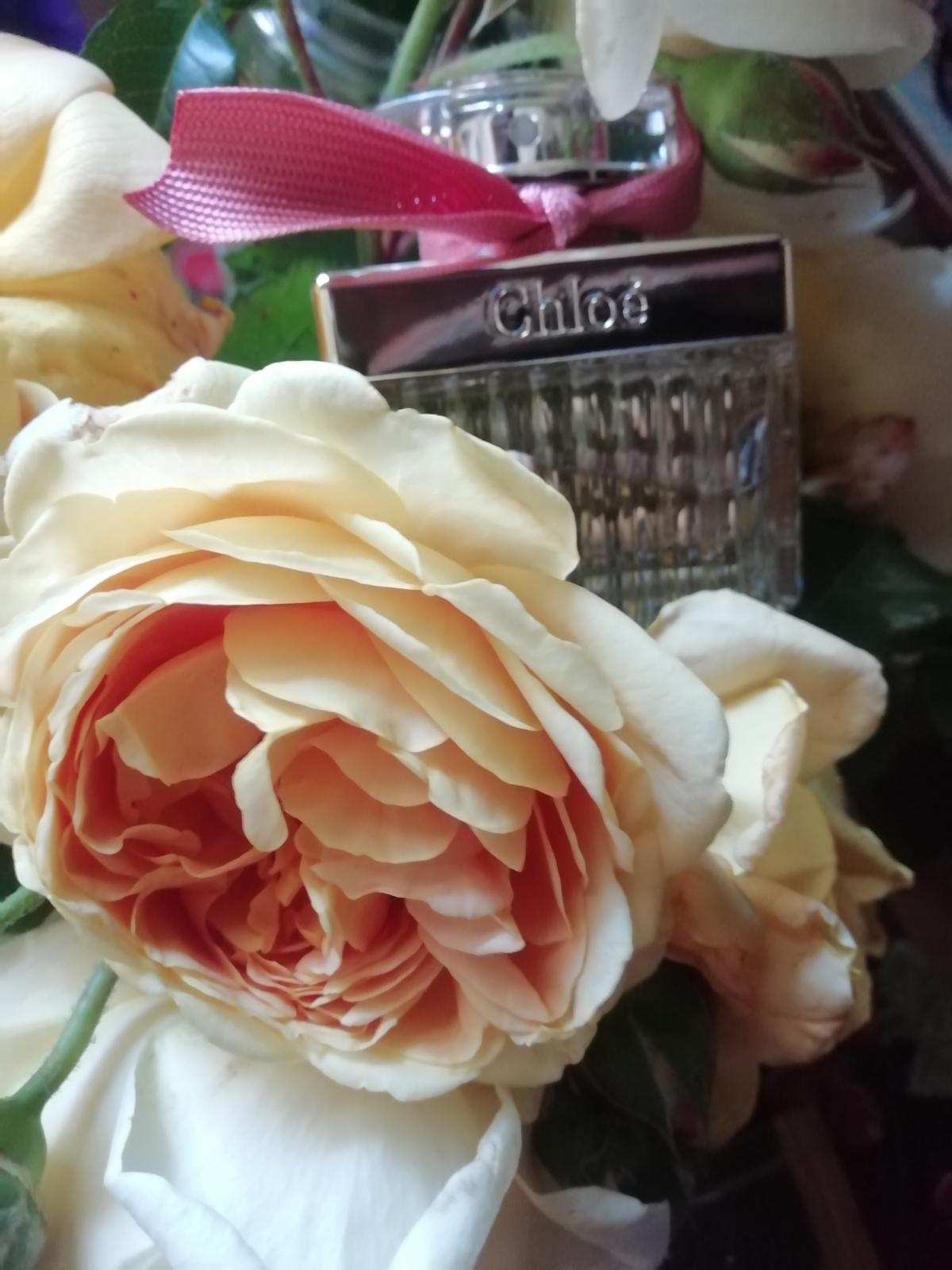 Chloé Roses de Chloé Chloé Parfum - ein es Parfum für Frauen 2013