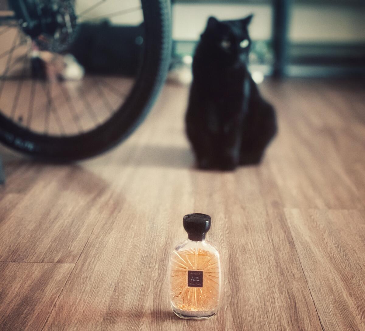 Lune Feline Atelier des Ors άρωμα - ένα άρωμα για γυναίκες και άνδρες 2015