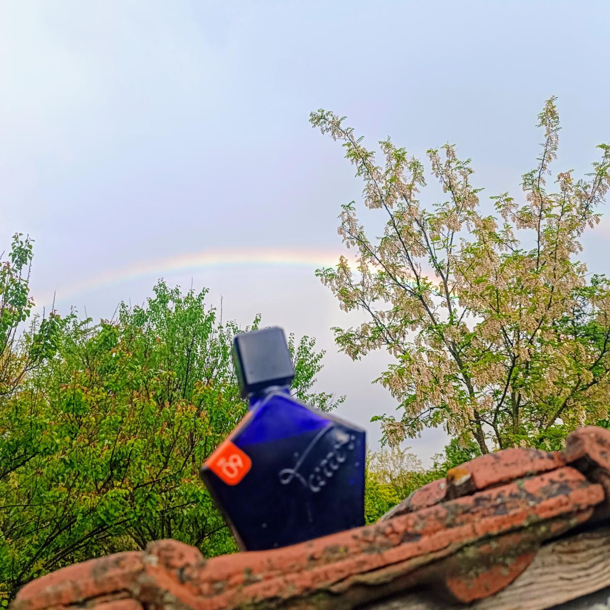 09 Orange Star Tauer Perfumes عطر - a fragrance للجنسين 2010