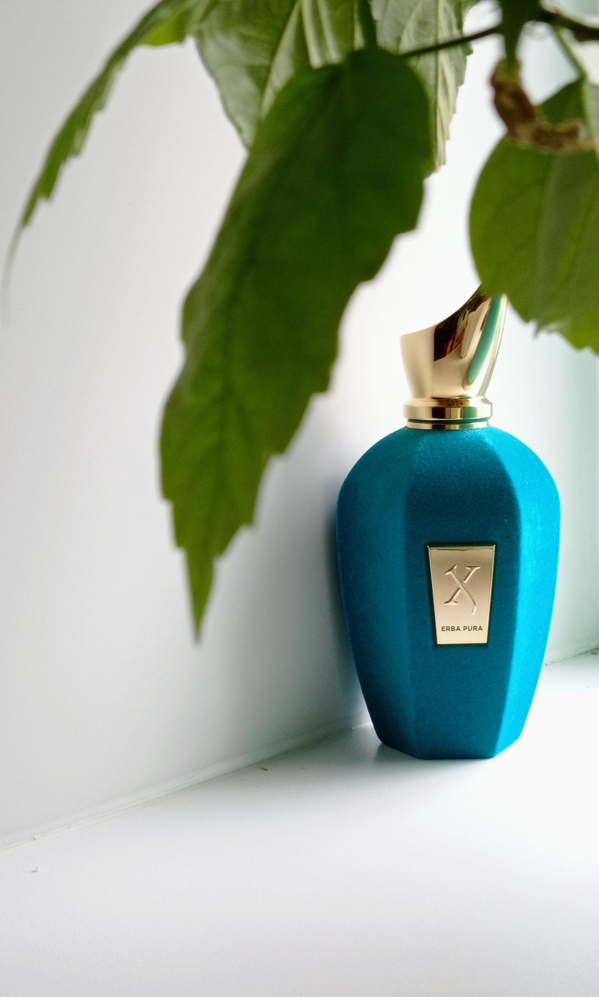 Erba Pura Xerjoff parfum - un parfum pour homme et femme 2019