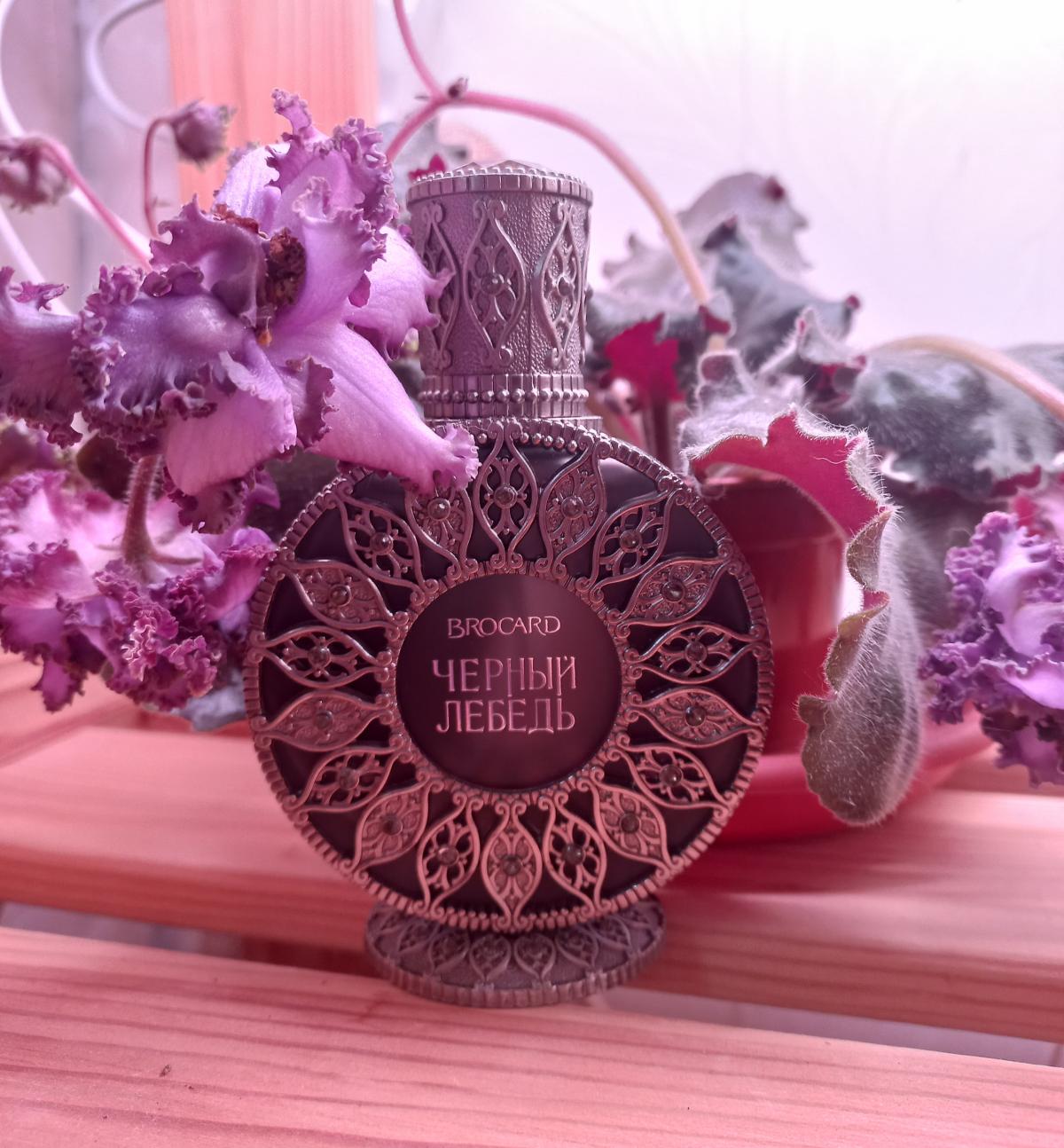 Black Swan (Черный лебедь) Brocard Parfum - ein es Parfum für Frauen 2019