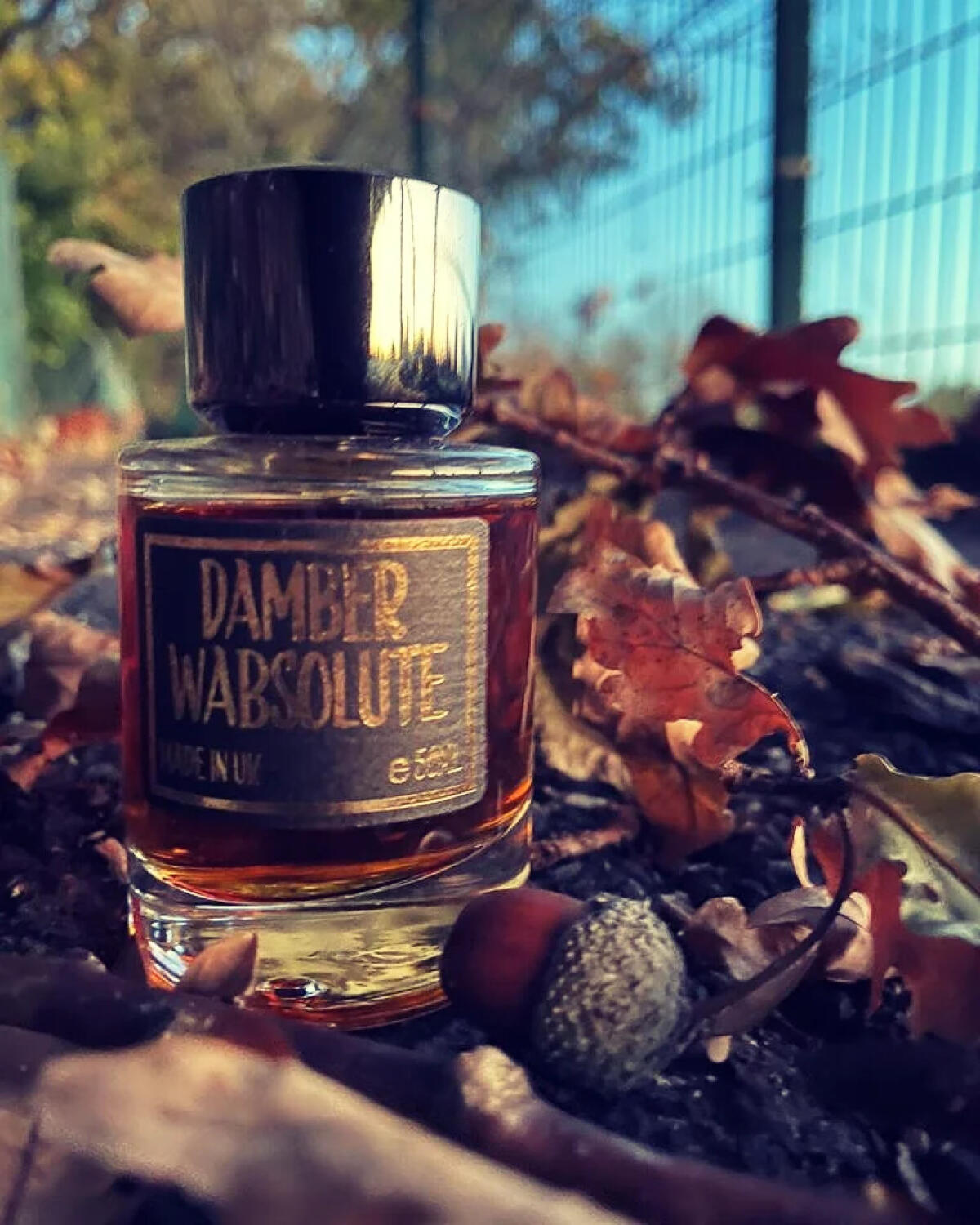 Damber Wabsolute Insider Parfums сүрчиг - a шинэ сүрчиг эрэгтэй эмэгтэй ...