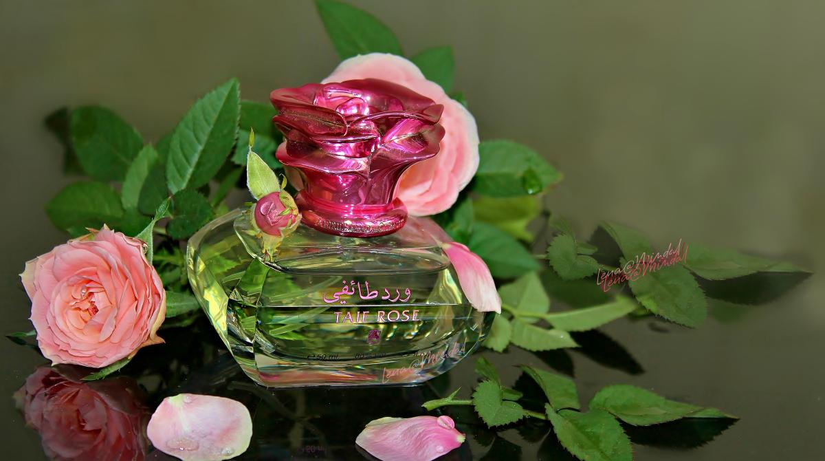 Taif Rose Abdul Samad Al Qurashi perfume - a fragrância Compartilhável
