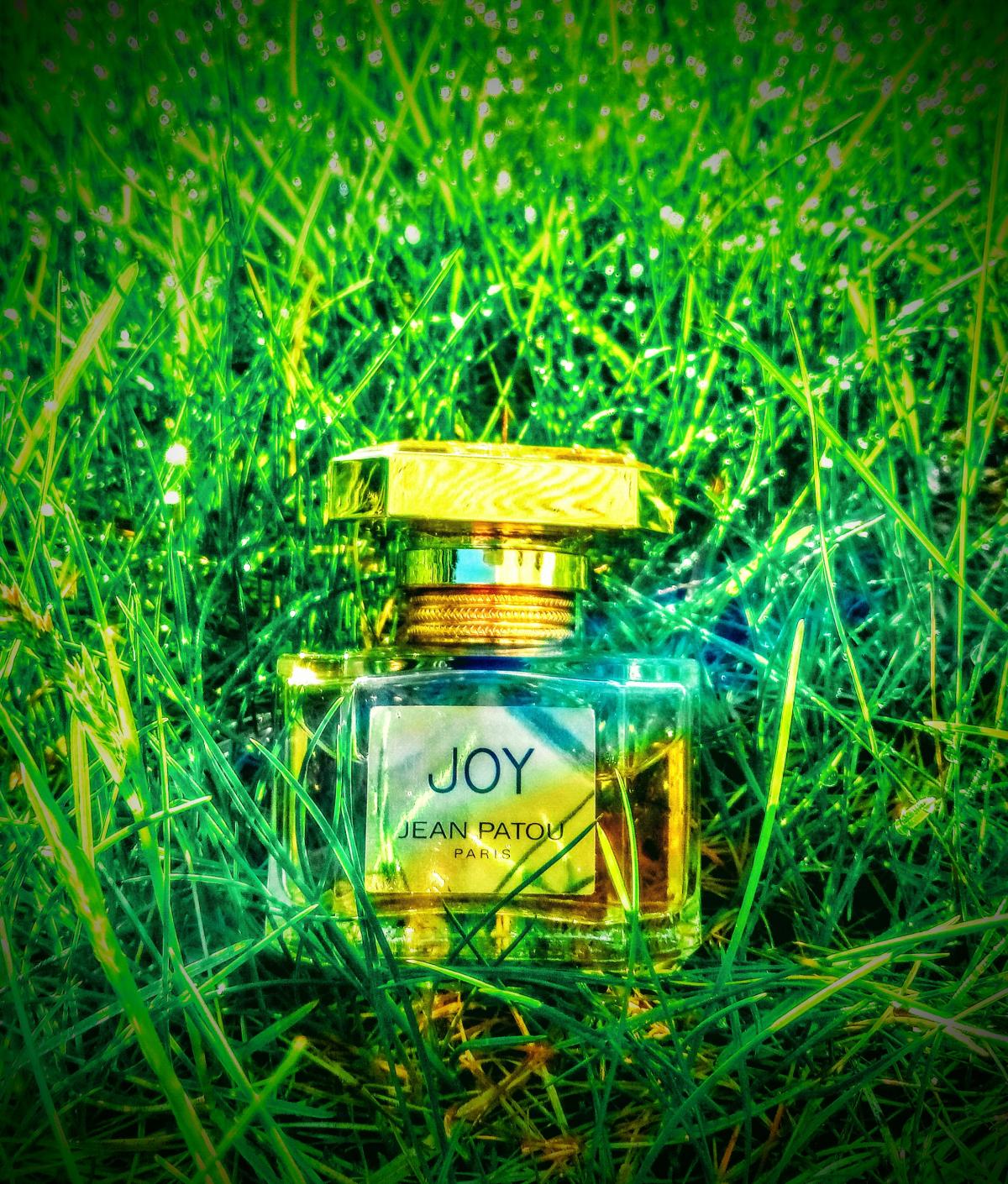 Joy Jean Patou perfume - a fragrância Feminino 1930