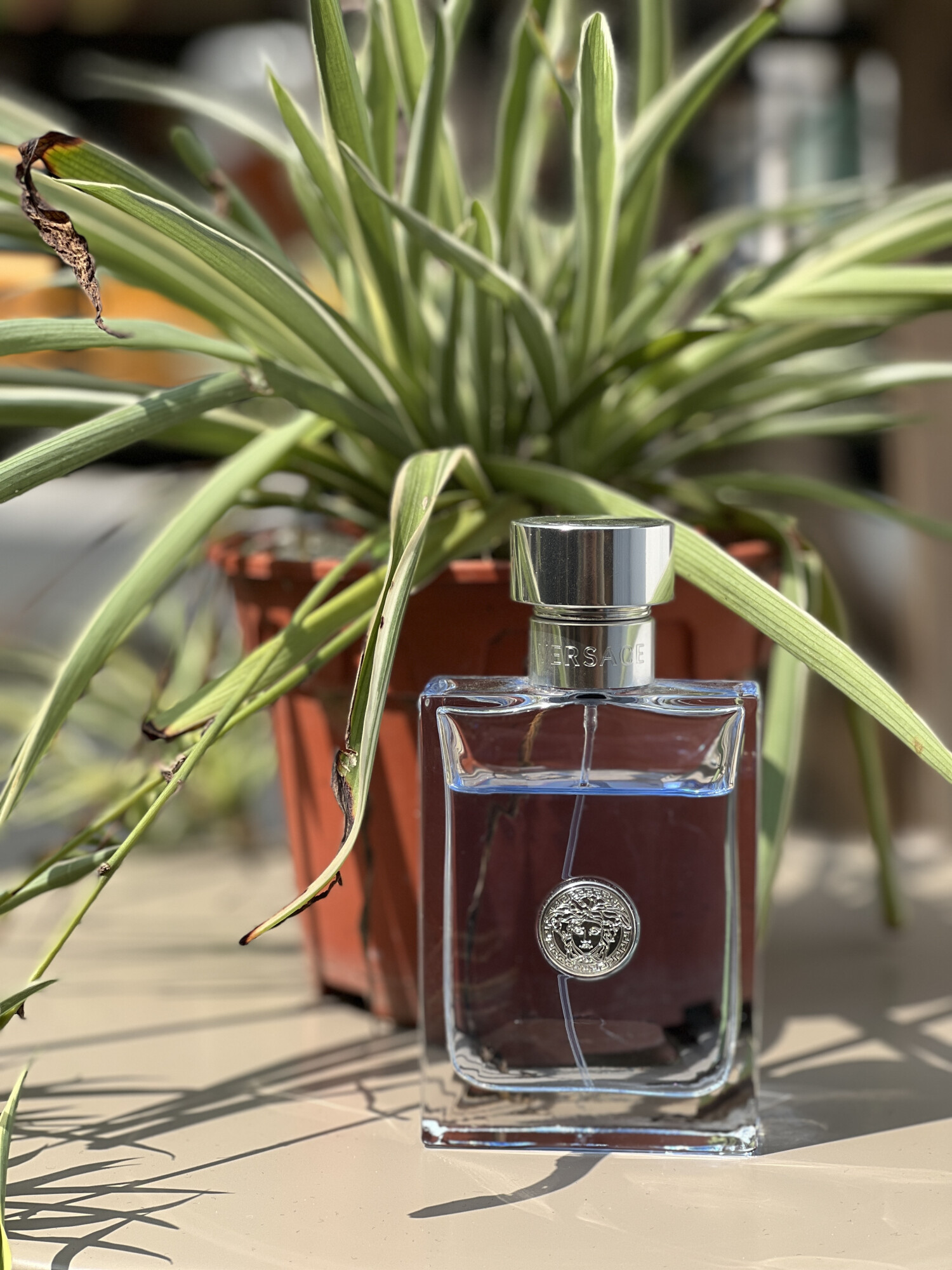 Versace Pour Homme Versace Cologne - un parfum pour homme 2008