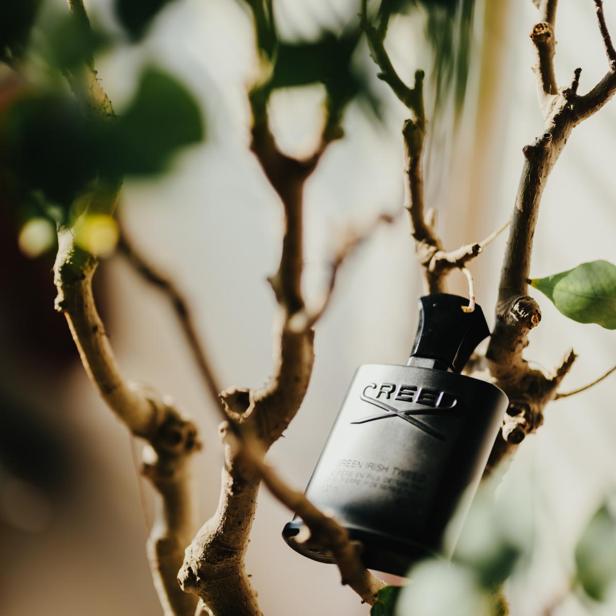 Green Irish Tweed Creed Colonia - una fragancia para Hombres 1985