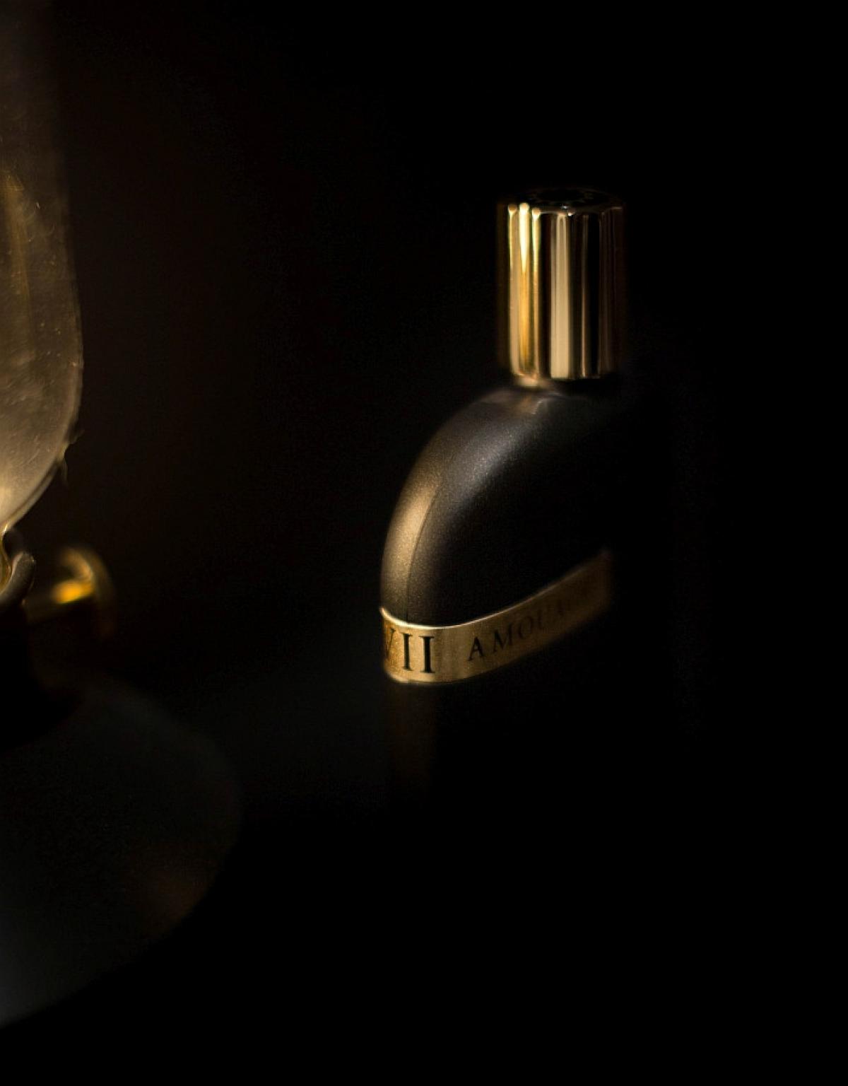 The Library Collection Opus VII Amouage parfum - een geur voor dames en ...