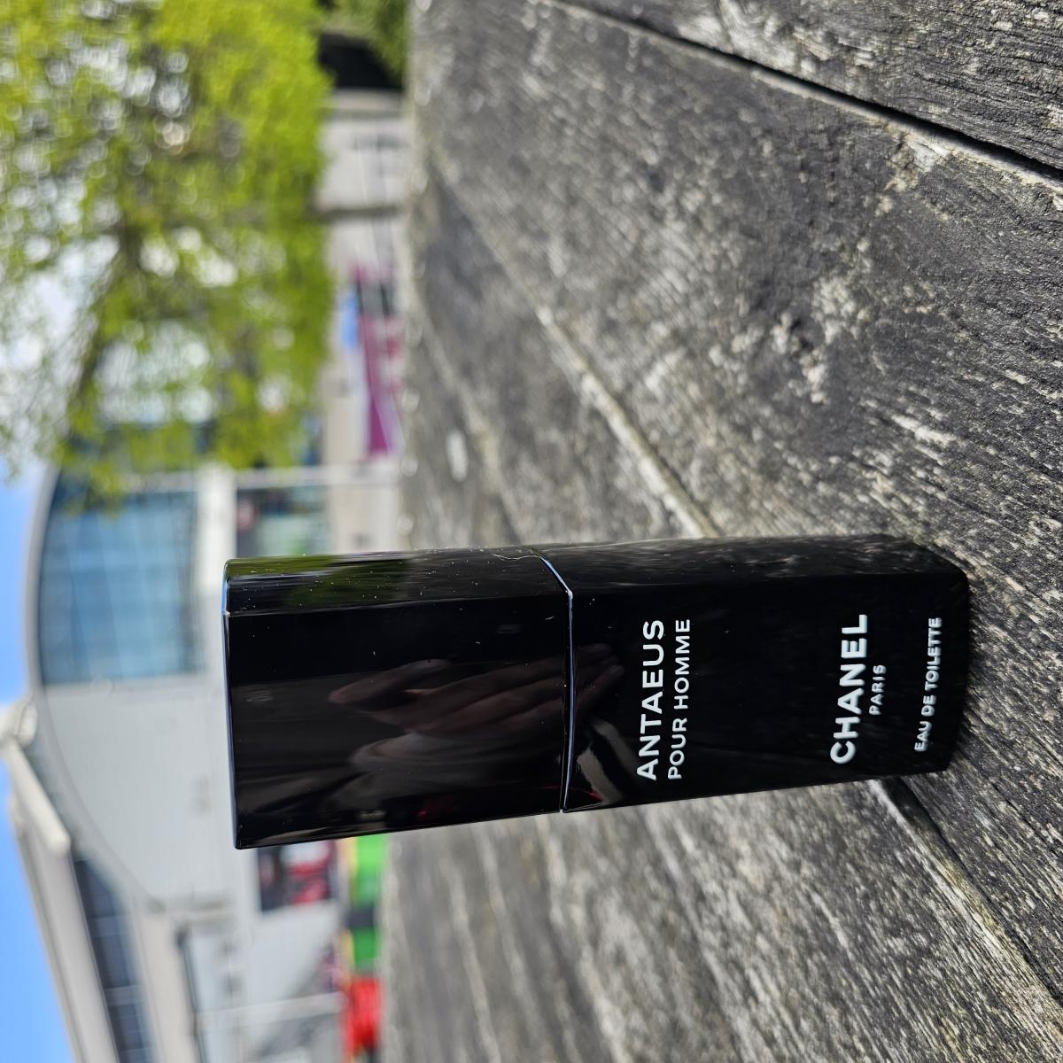 Antaeus Chanel Cologne - un parfum pour homme 1981