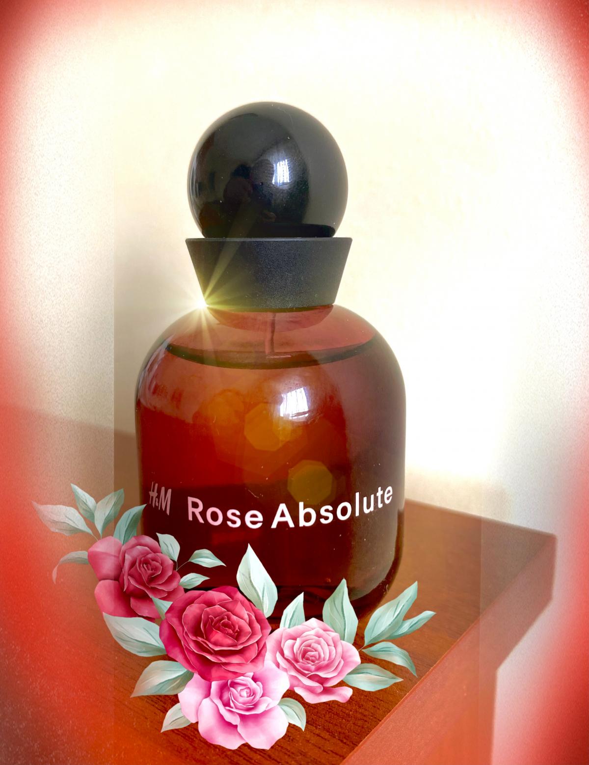 H&M Rose Absolute H&M Parfum - ein es Parfum für Frauen und Männer 2018
