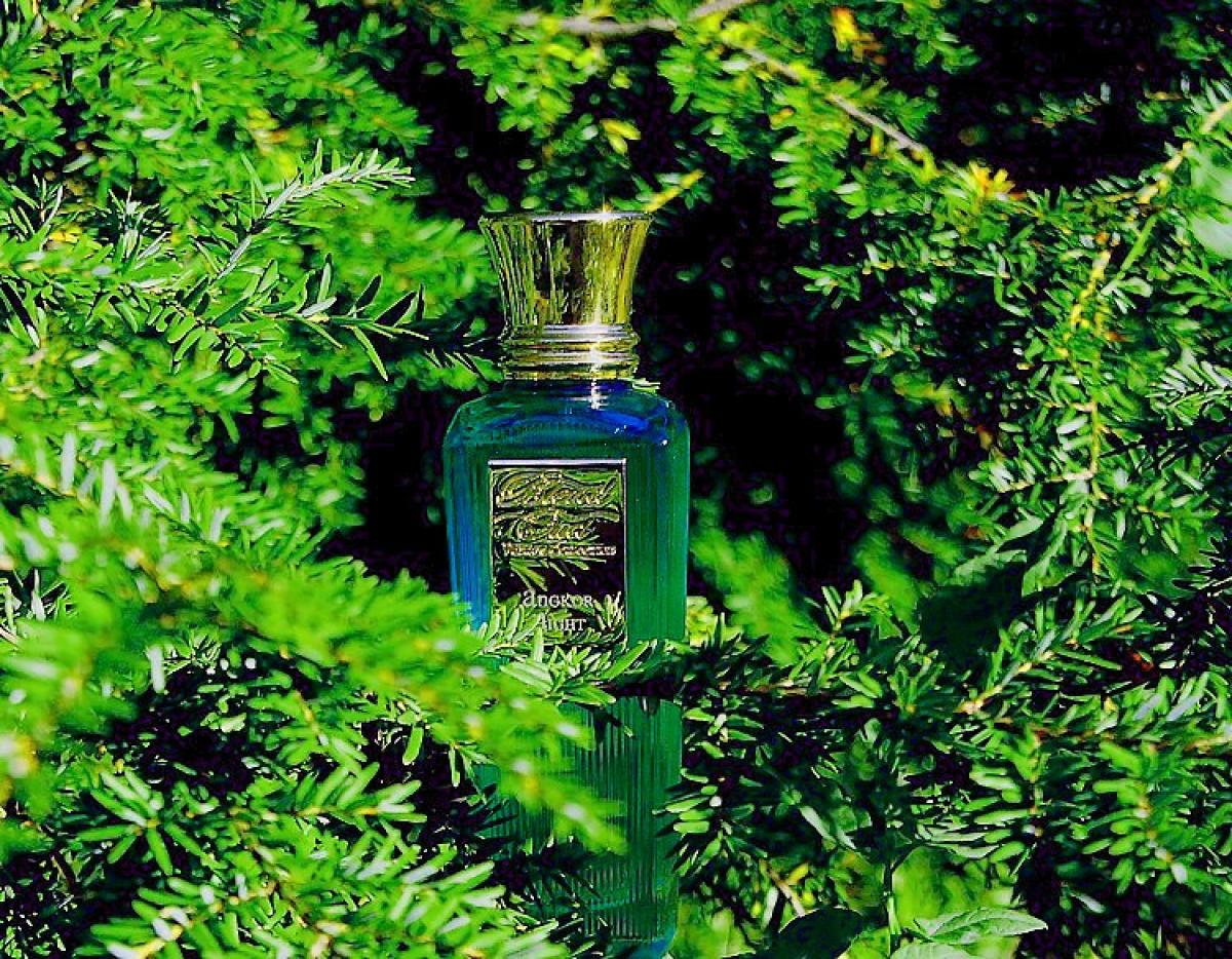 Angkor Night Blend Oud parfum - un parfum pour homme et femme 2019