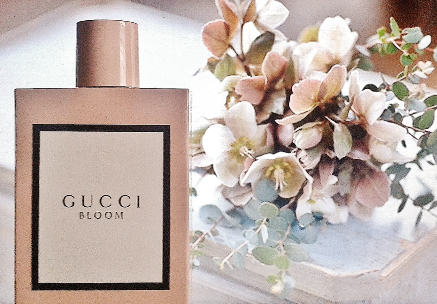 Gucci Bloom Gucci perfume - a fragrância Feminino 2017