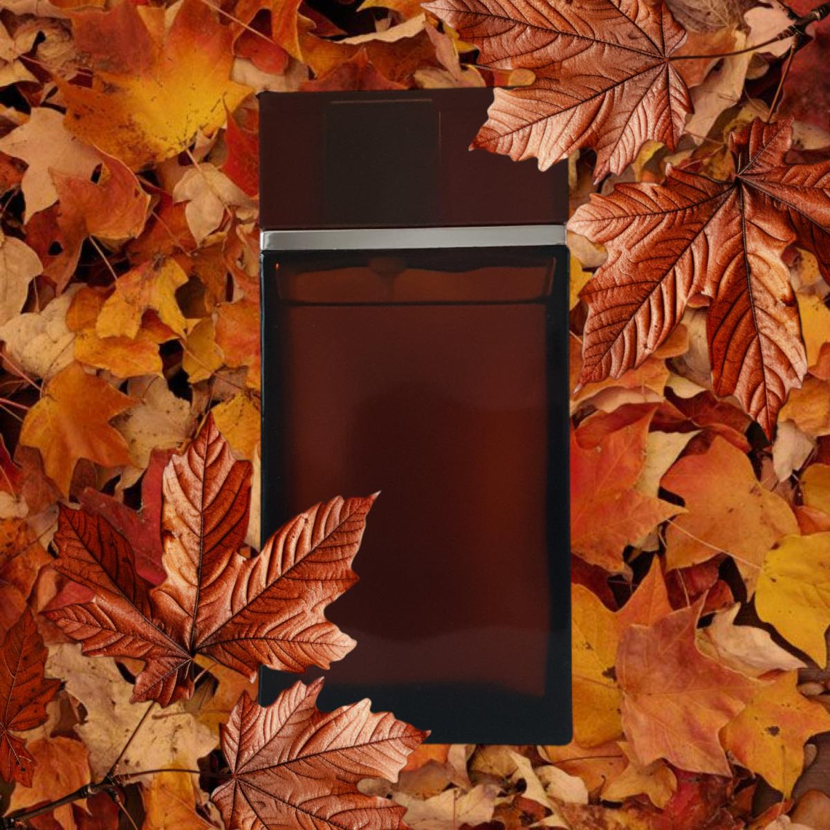 M7 Yves Saint Laurent Cologne - un parfum pour homme 2002