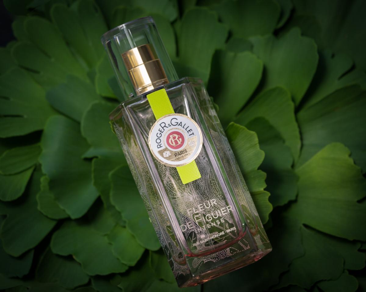 Fleur de Figuier Eau de Parfum Roger & Gallet parfum - un parfum pour ...