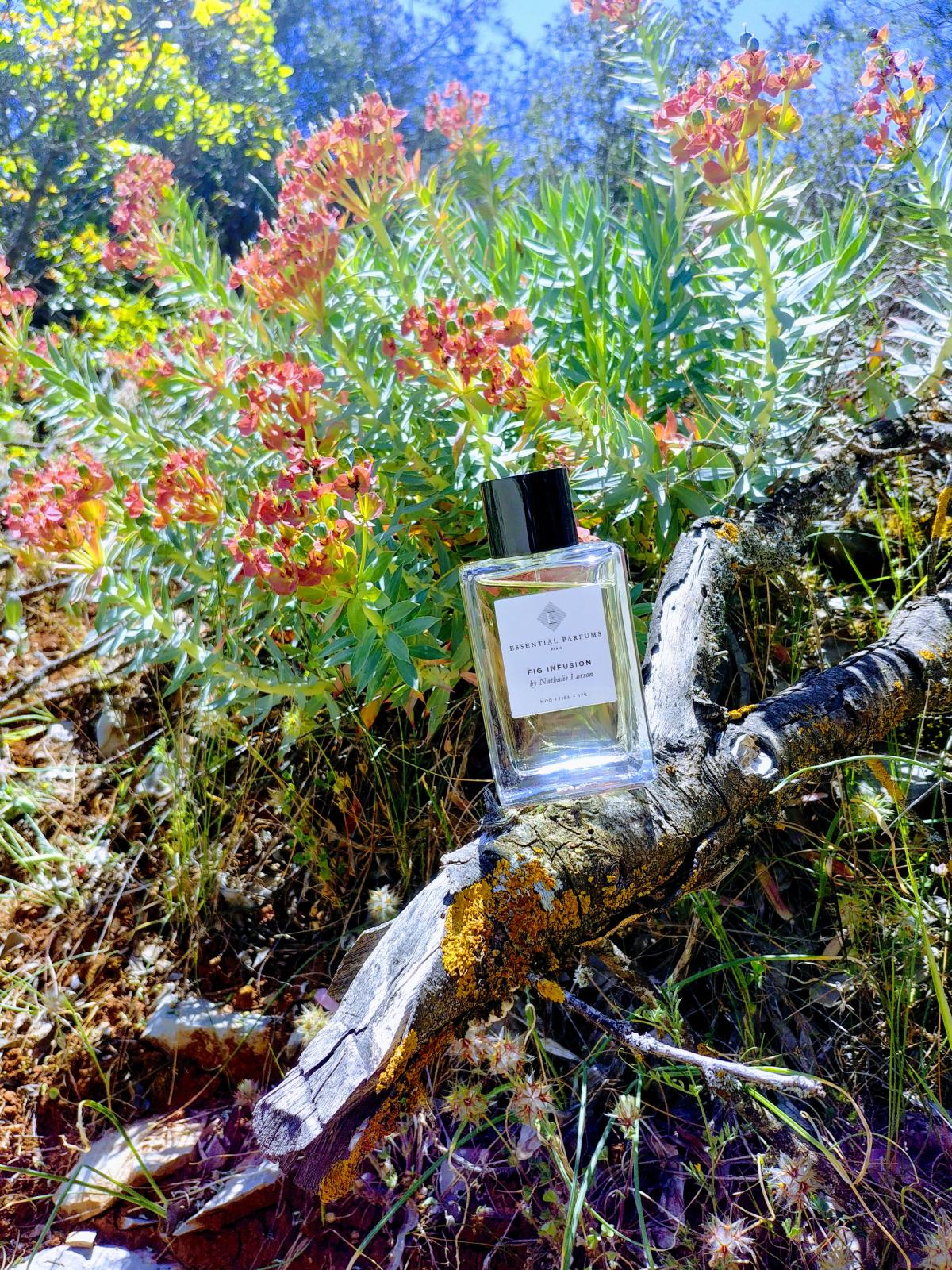 Fig Infusion Essential Parfums parfum - un nouveau parfum pour homme et ...