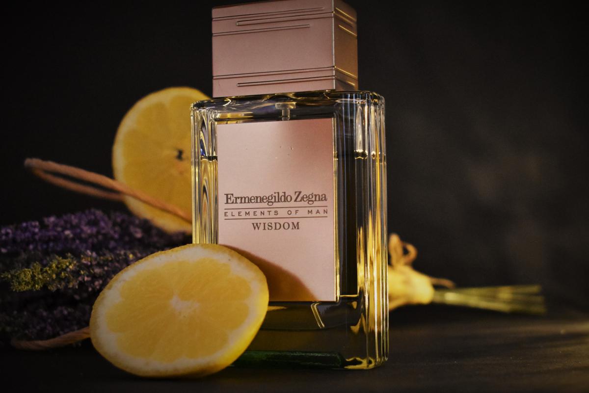 Wisdom Ermenegildo Zegna Cologne - un parfum pour homme 2017