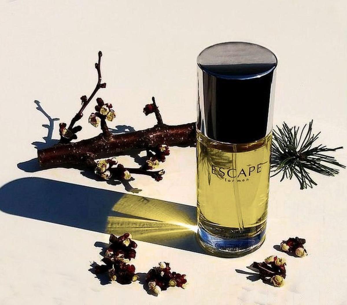 Escape for Men Calvin Klein Cologne - un parfum pour homme 1993