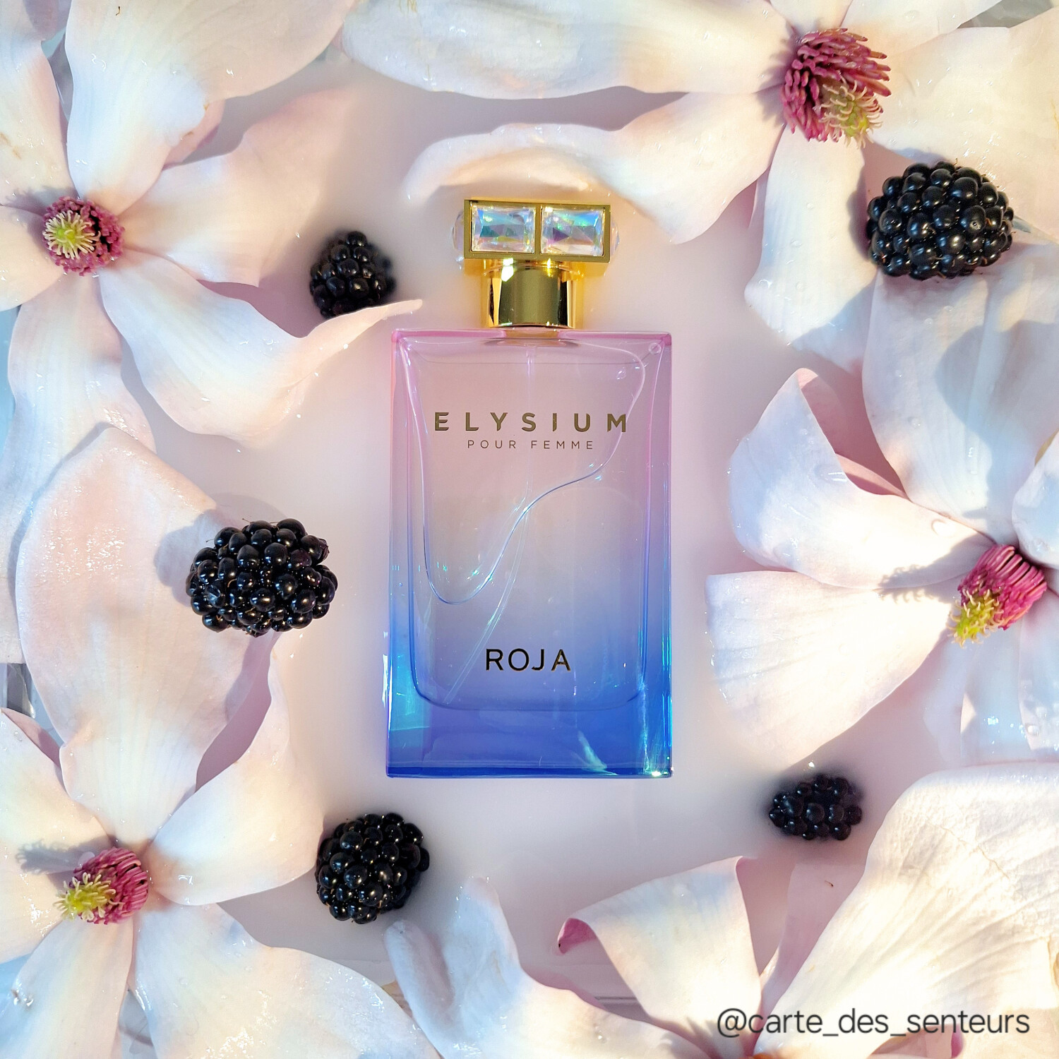 Elysium Pour Femme Roja Dove perfume - a novo fragrância Feminino 2024
