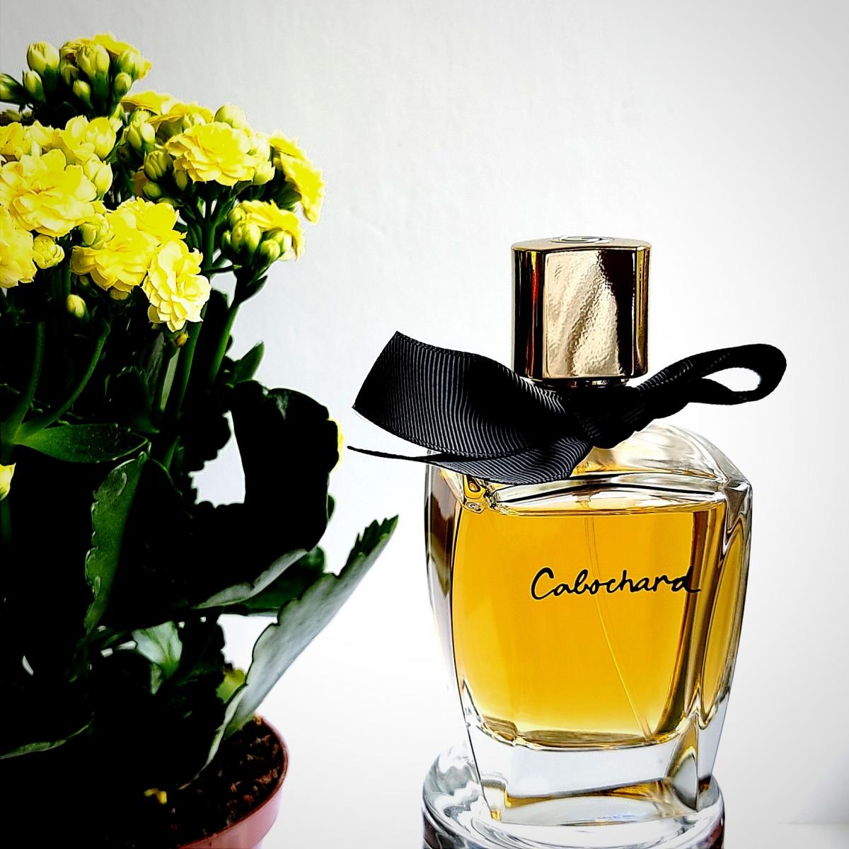 Cabochard Eau de Parfum 2019 Grès parfum - un parfum pour femme 2019