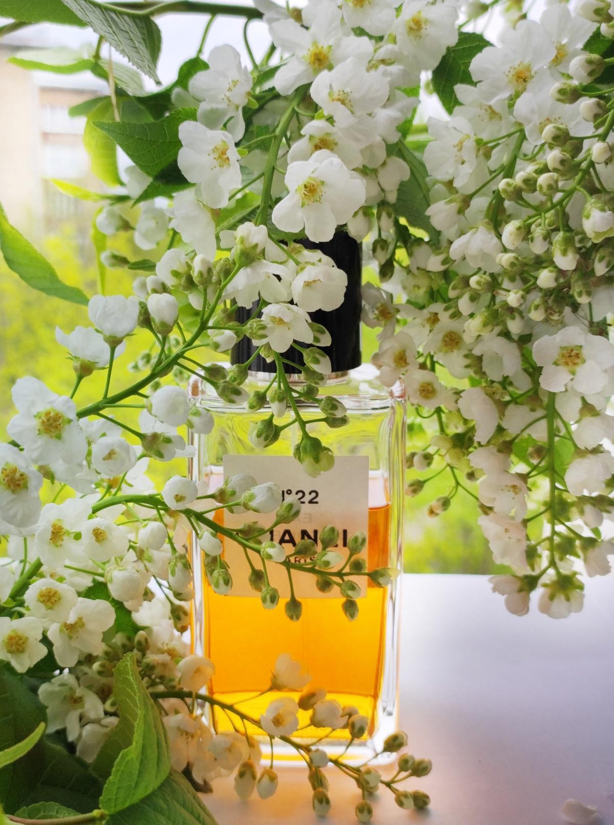 Les Exclusifs de Chanel No 22 Chanel parfum - een geur voor dames 1922