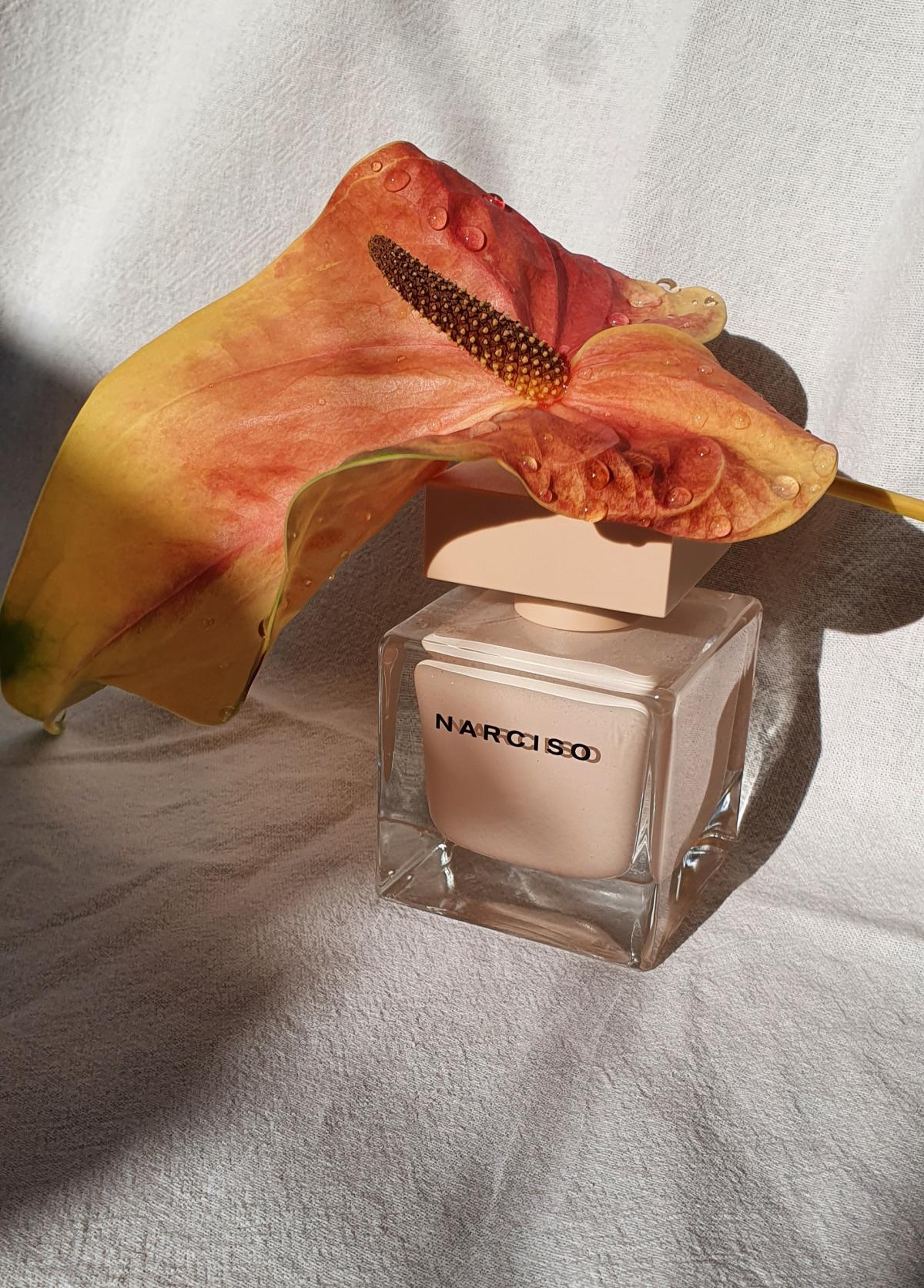 Narciso Poudree Narciso Rodriguez аромат — аромат для женщин 2016