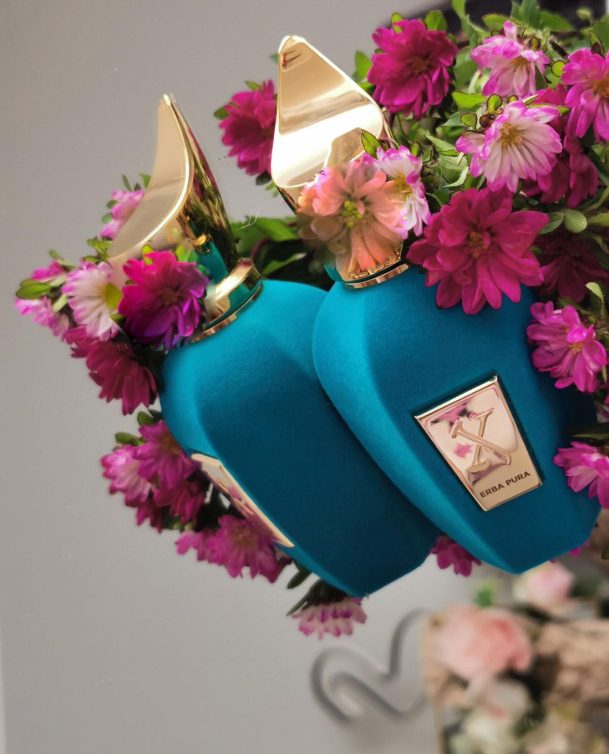 Erba Pura Xerjoff parfum - un parfum pour homme et femme 2019