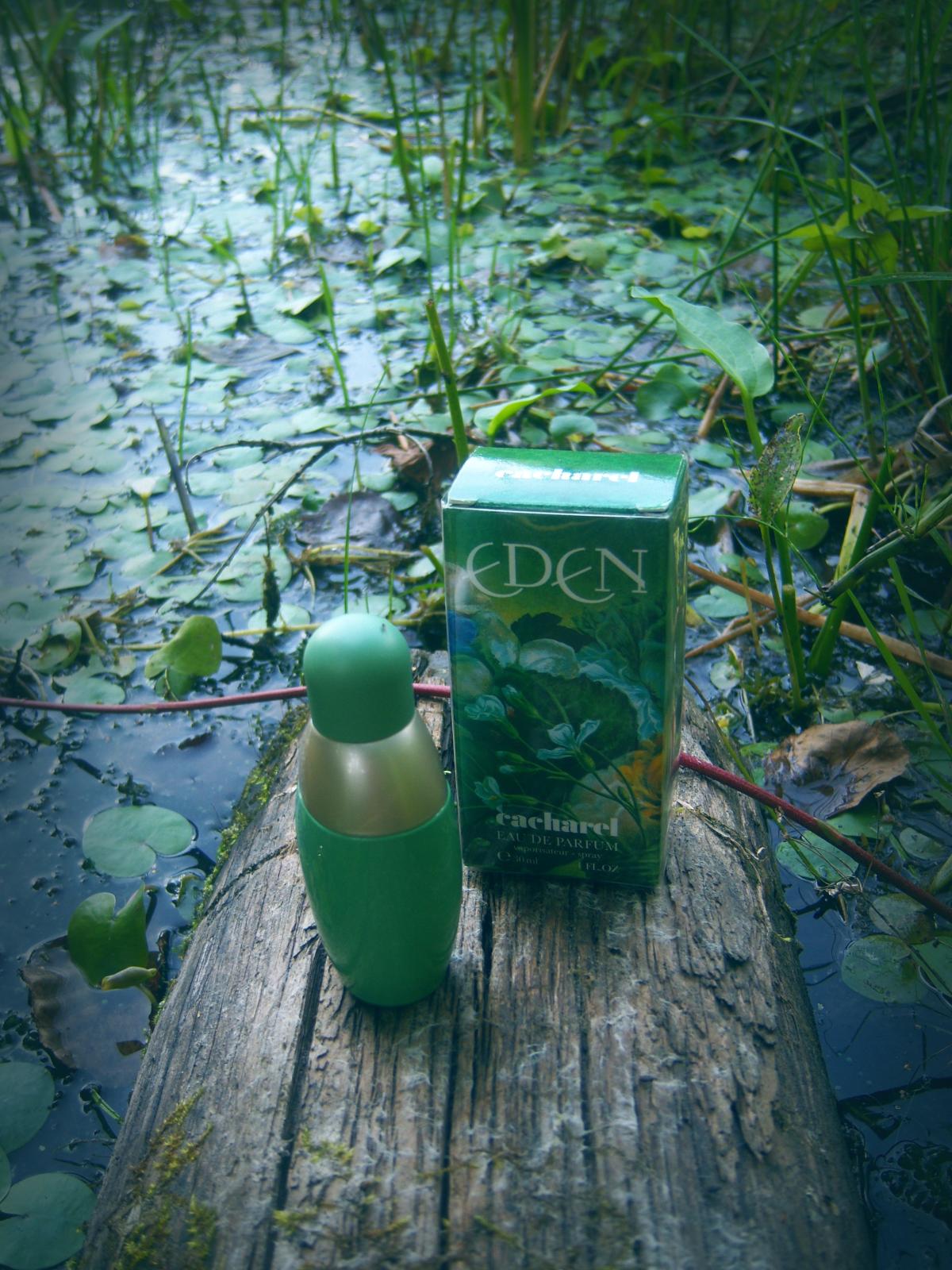 Eden Cacharel perfume - a fragrância Feminino 1994