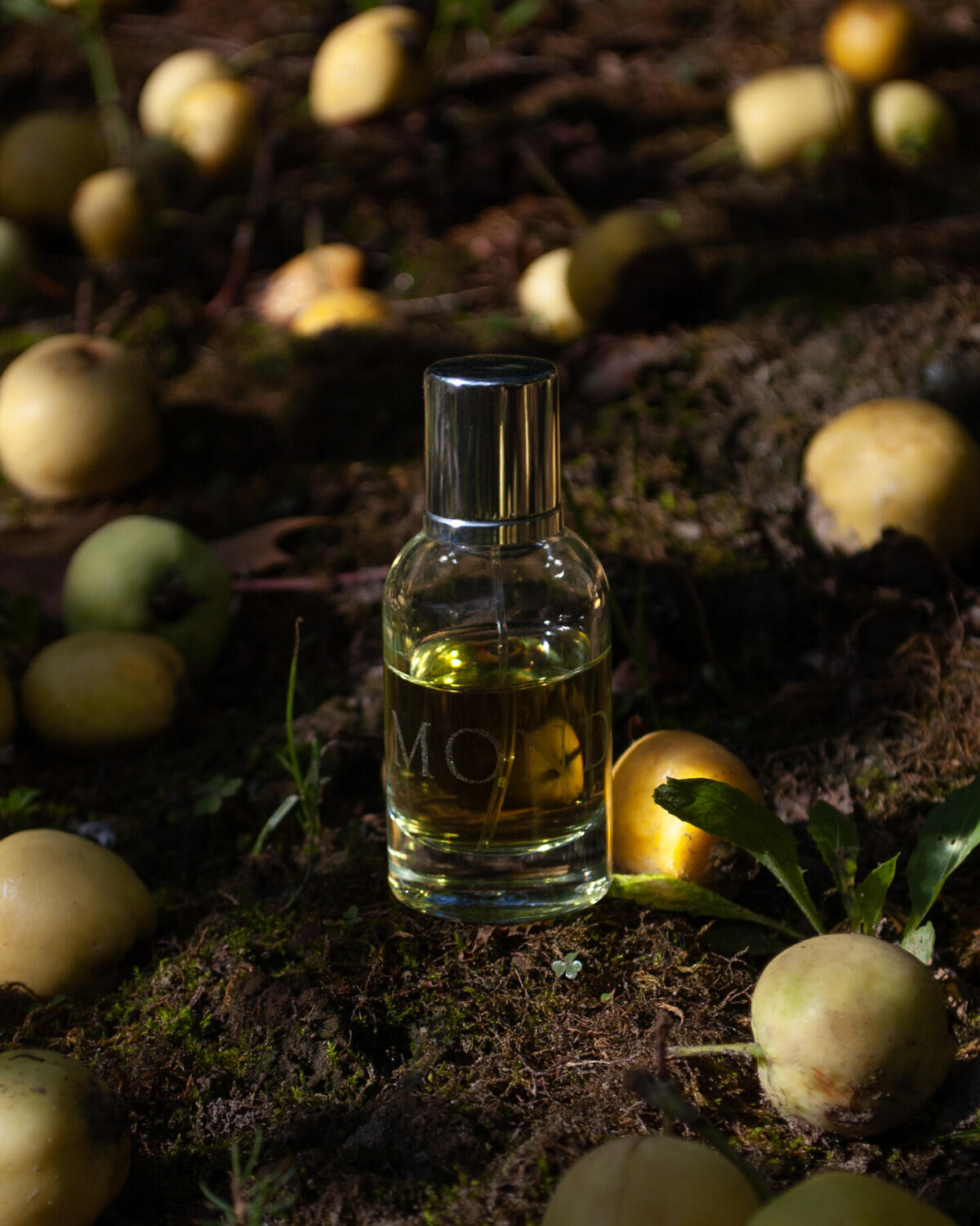 Mond Slumberhouse parfum - un parfum pour homme et femme 2021