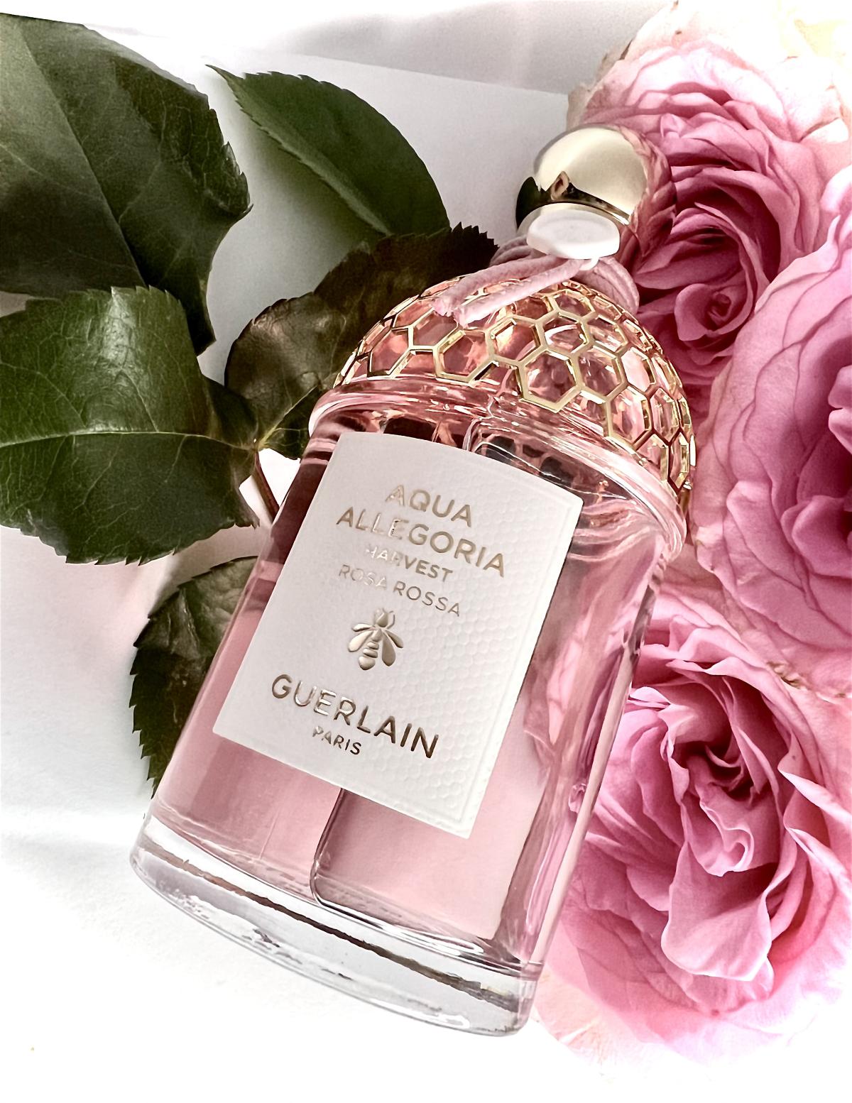 Rosa Rossa Harvest Guerlain Parfum - ein neues Parfum für Frauen und ...