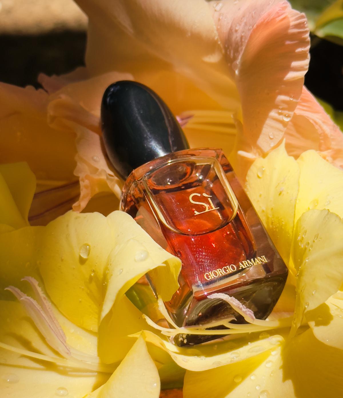 Si Giorgio Armani Parfum - ein es Parfum für Frauen 2013