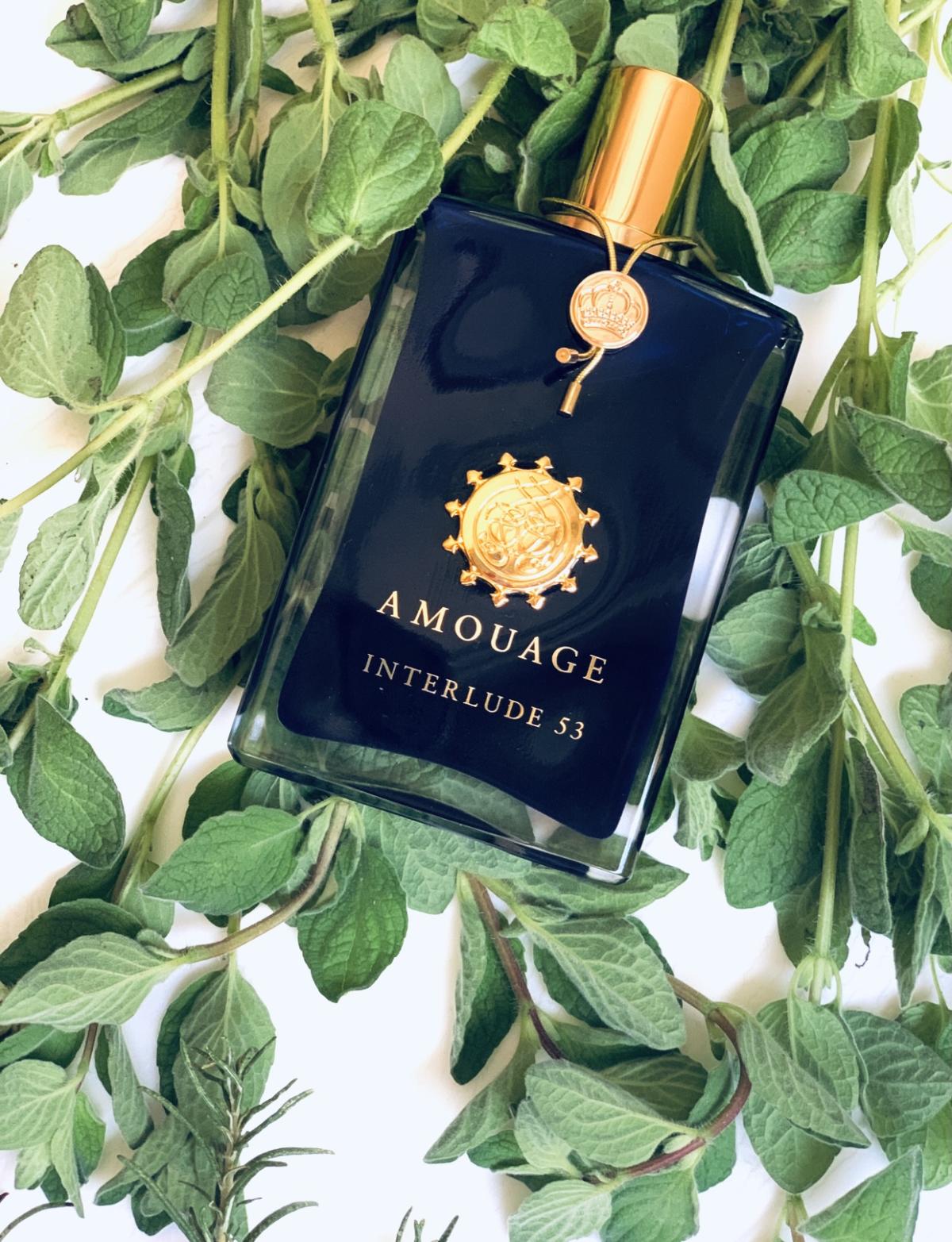 Interlude 53 Man Amouage Colônia - a fragrância Masculino 2020