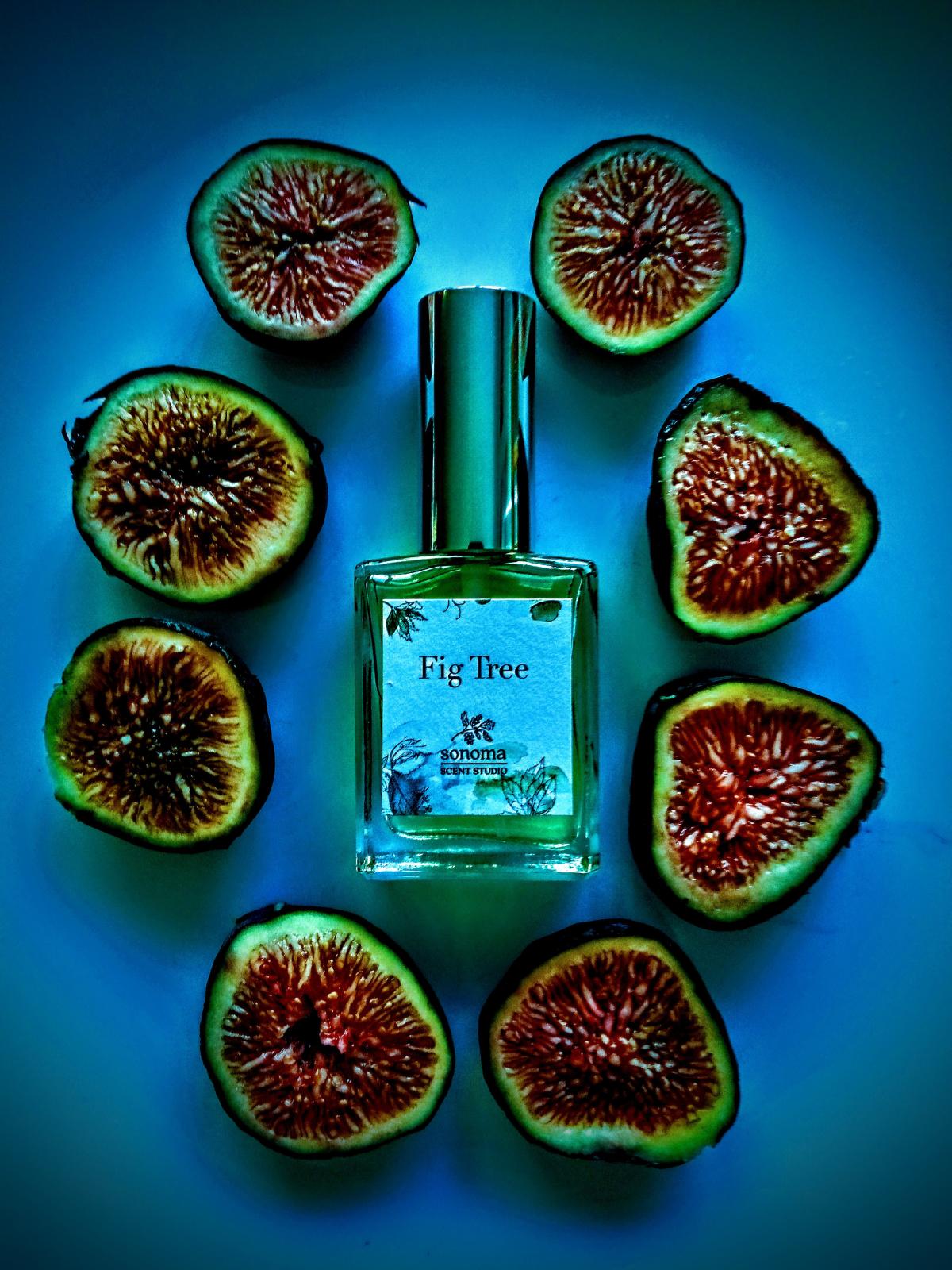 Fig Tree Sonoma Scent Studio аромат — аромат для мужчин и женщин 2011