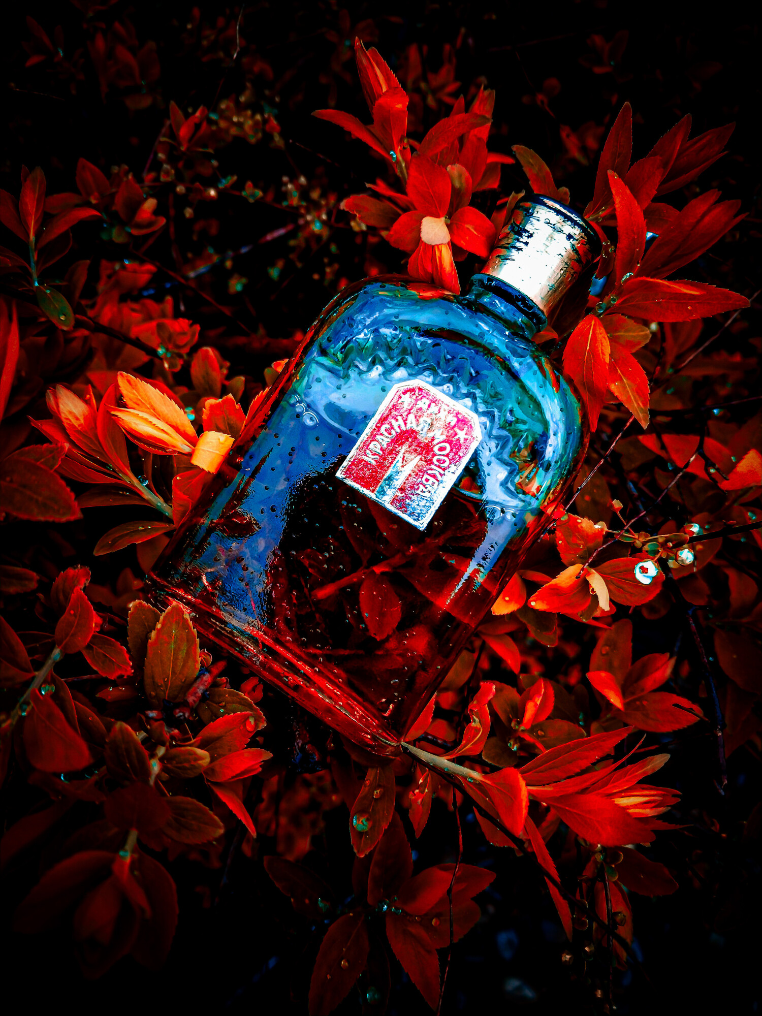 Красная Москва (Red Moscow) Новая Заря (The New Dawn) عطر - a fragrance ...