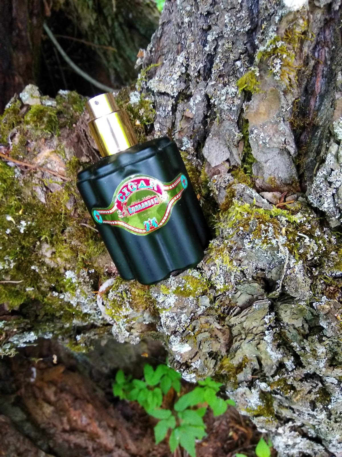 Cigar Commander Rémy Latour Cologne - un parfum pour homme